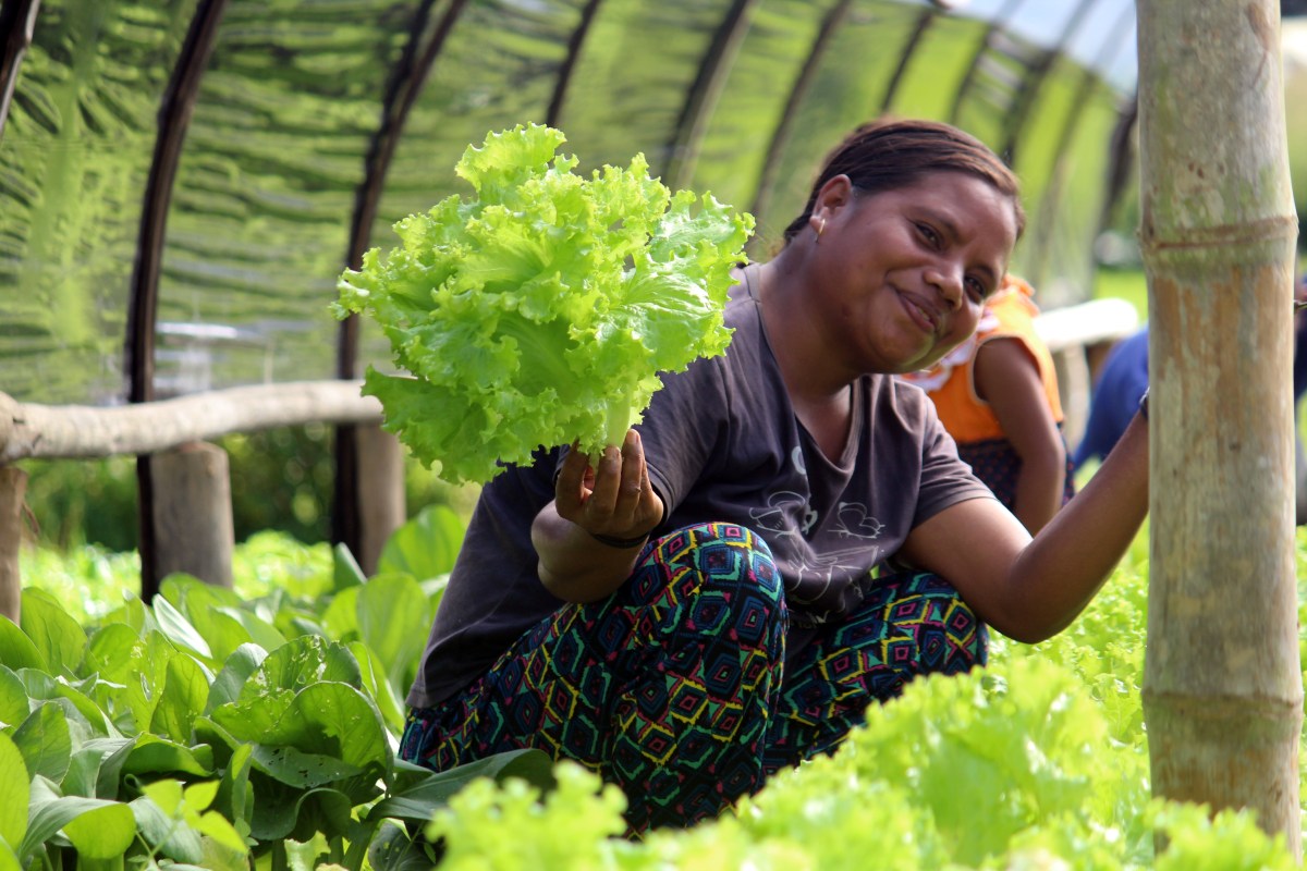 BUILDING BACK BETTER AND LEVERAGING GENDER RESPONSIVENESS